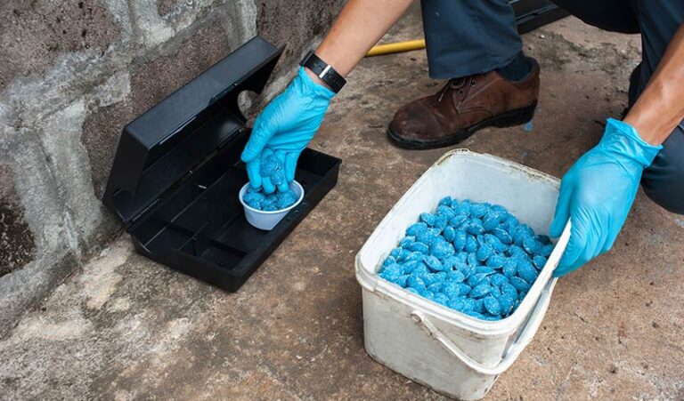 25 Disturbing Chemicals in Cigarettes - And Where Else They Are Found ...